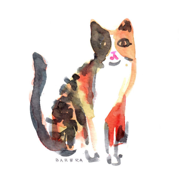 How to Travel with Your Cat on an Airplane – BARBARIAN by Barbra ...