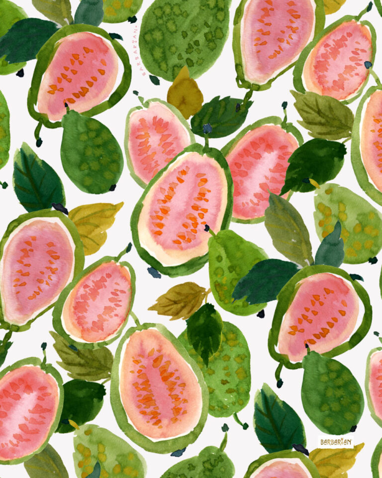 GUAVA GOODNESS – BARBARIAN by Barbra Ignatiev | Santa Cruz Artist ...