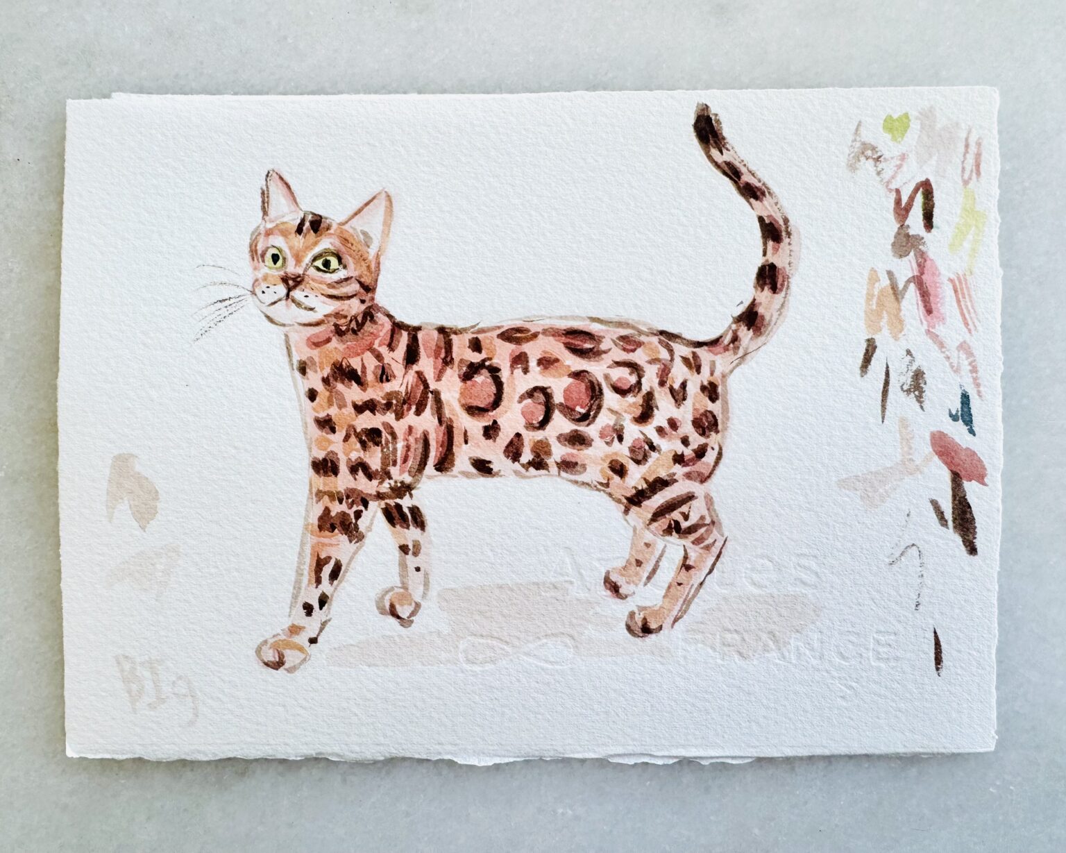 BARBARIAN by Barbra Ignatiev | Santa Cruz Artist | Custom Pet Portraits ...