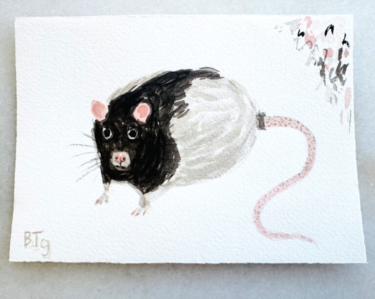 BARBARIAN by Barbra Ignatiev | Santa Cruz Artist | Custom Pet Portraits ...