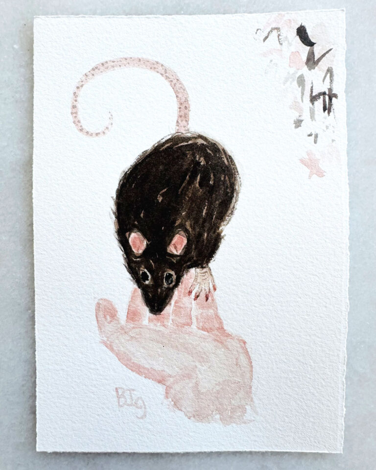 BARBARIAN by Barbra Ignatiev | Santa Cruz Artist | Custom Pet Portraits ...